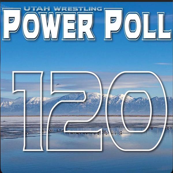 Power Poll 120lbs