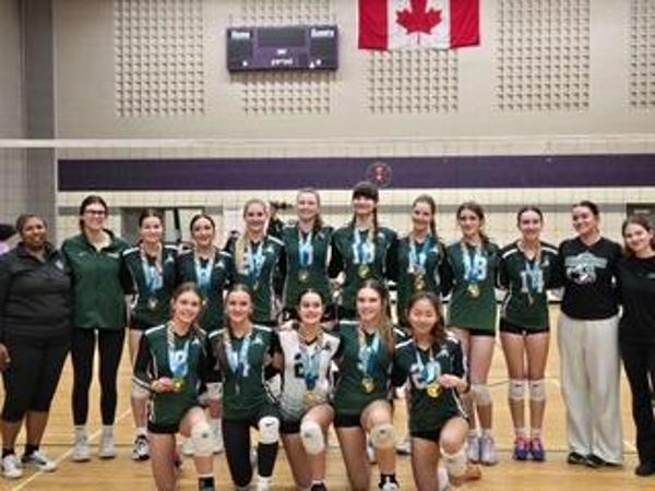 16U Dynamite Gold in Kitchener