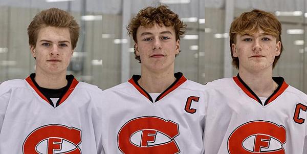 Big Rivers Boy All Conference, Johnson, Hoem Co-Players of the Year