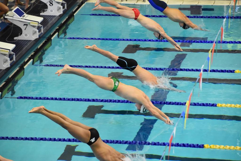 2019 Arena Fall Classic Swim/Dive Meet