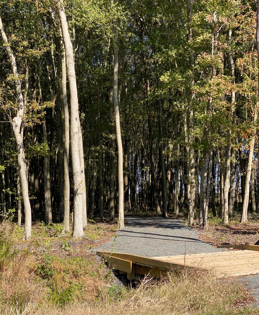 | Photos | Sandhill Fields