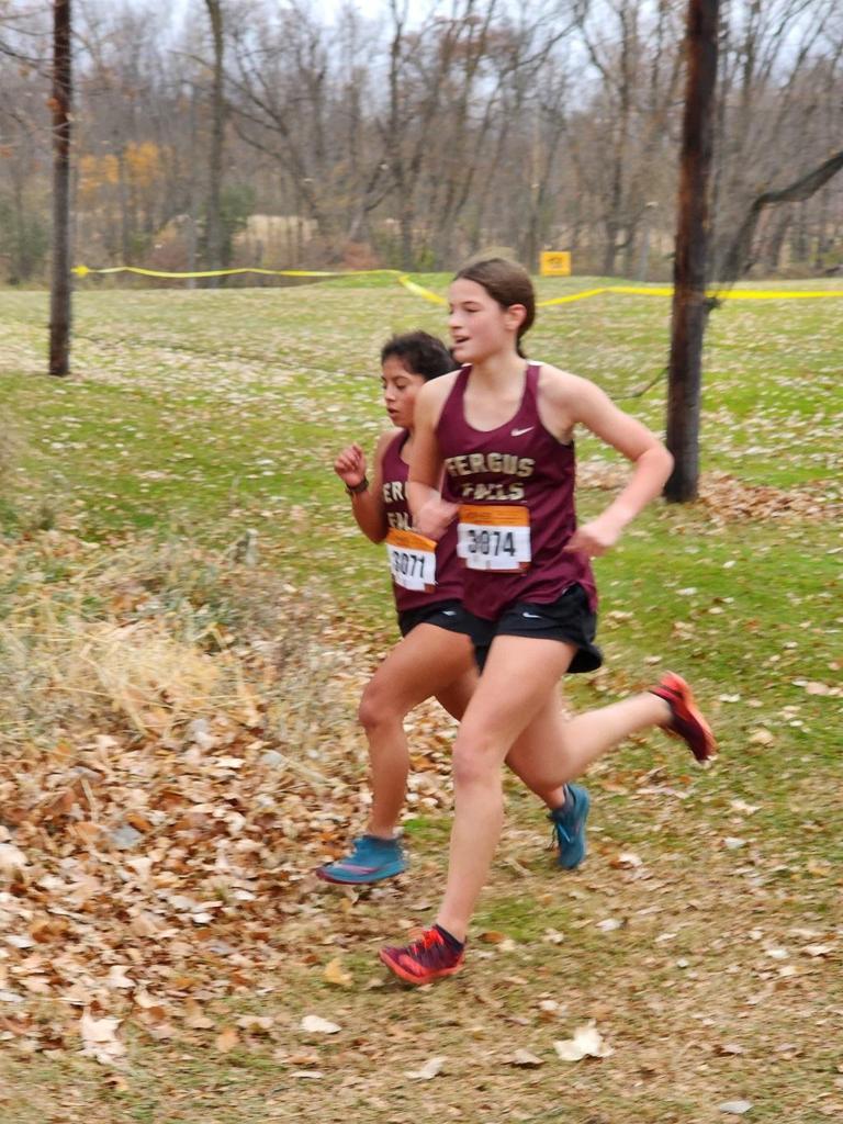 Alexandria and Willmar Finish 1-2 in 8AA Girls CC Meet, Otters Place 5th