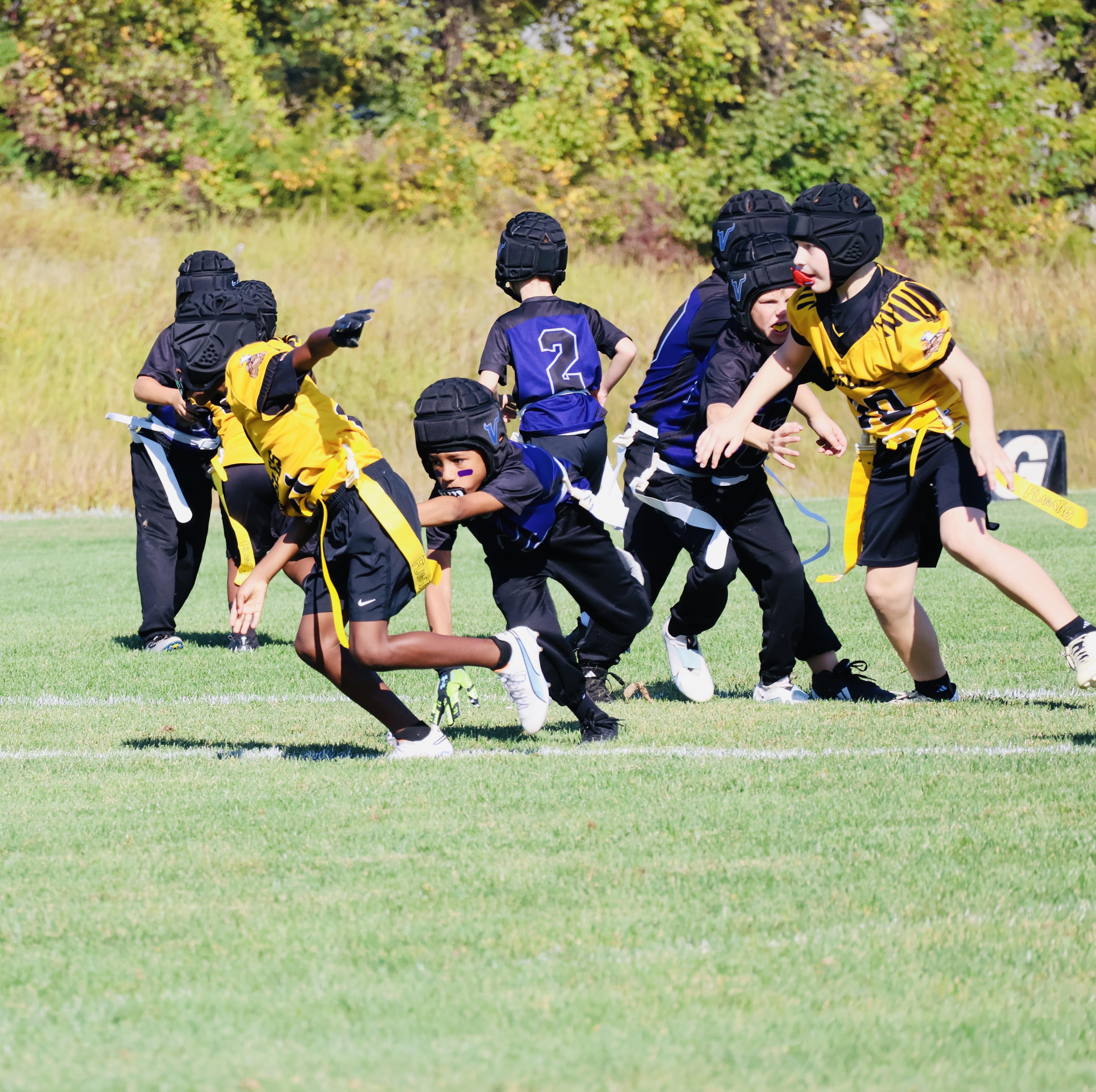 Parkville Vikings Football and Cheer