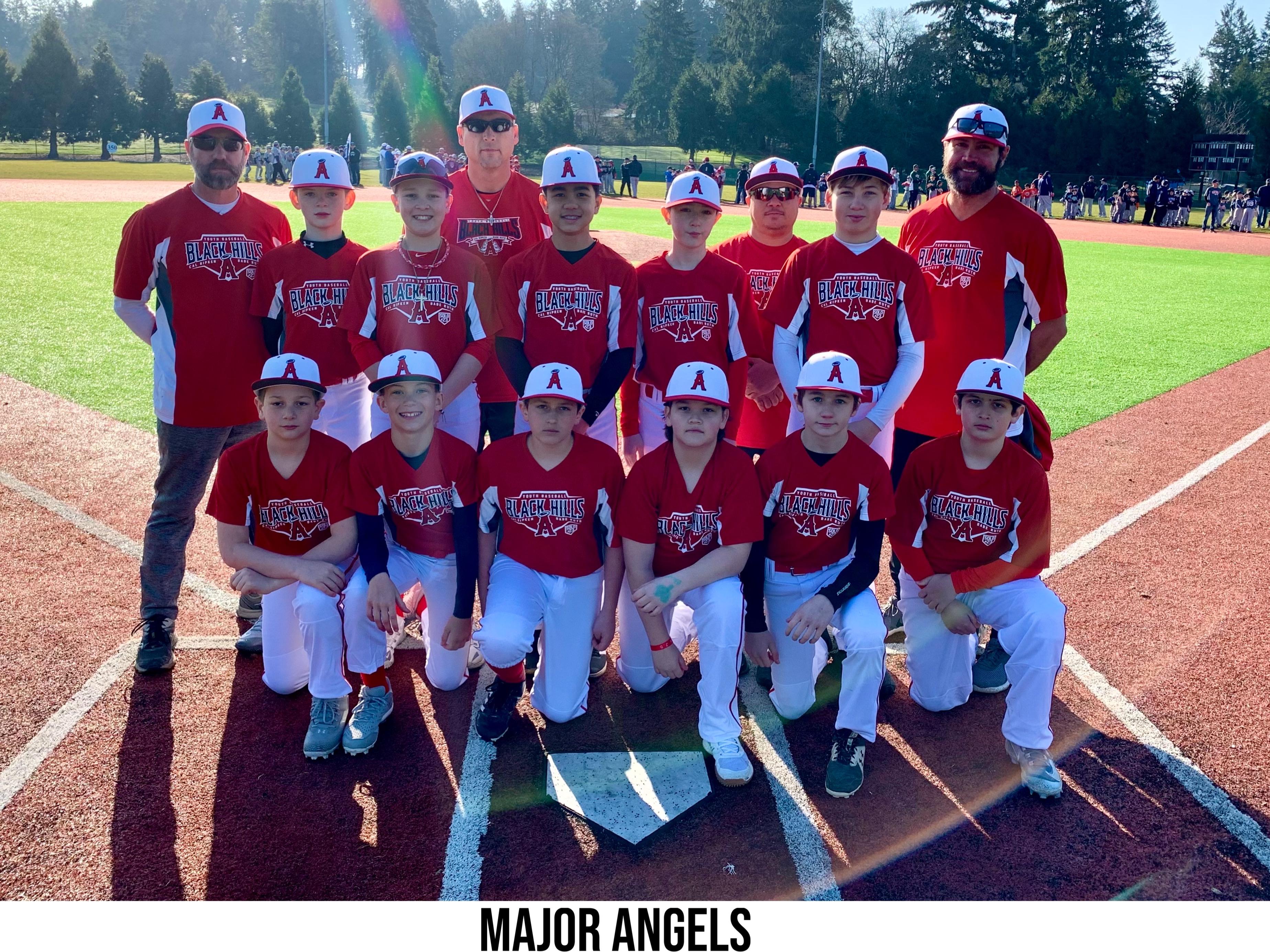 Black Hills Youth Baseball