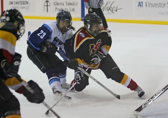 Junior Women's Hockey League Directory