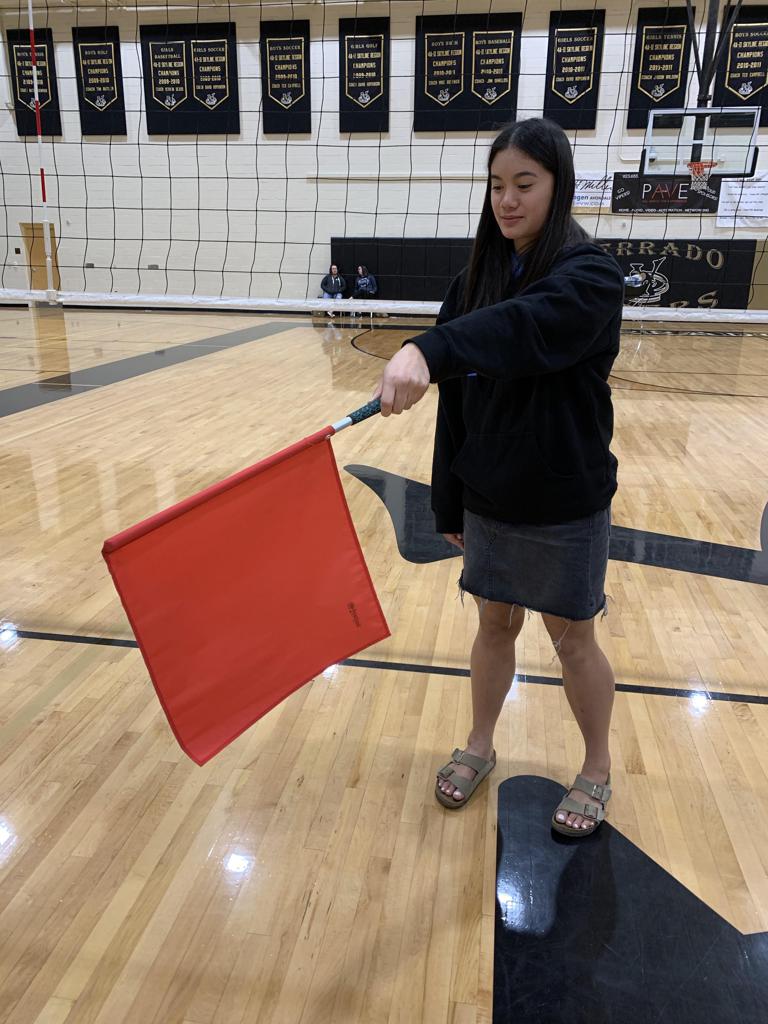 OFFICIAL HAND SIGNALS | Photos | Arizona Region of USA Volleyball