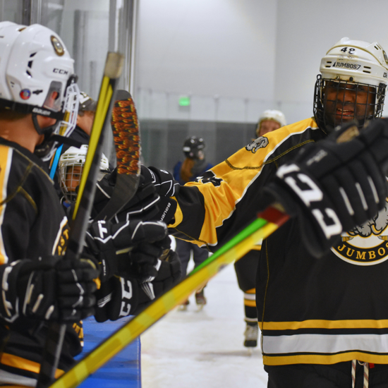 Adaptive Hockey