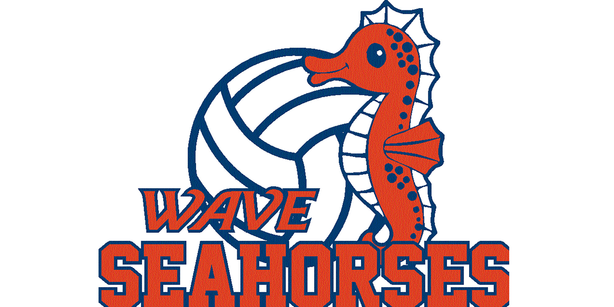 Wave Volleyball Club