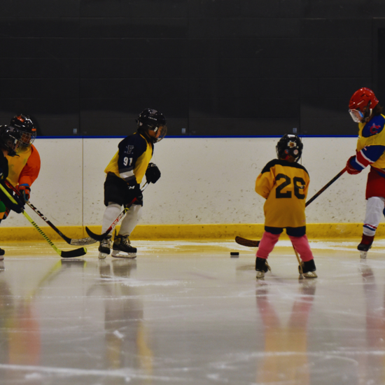 Adaptive Hockey