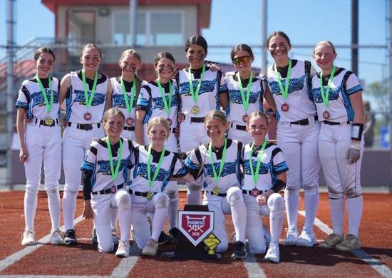 Wisconsin Lightning Fastpitch