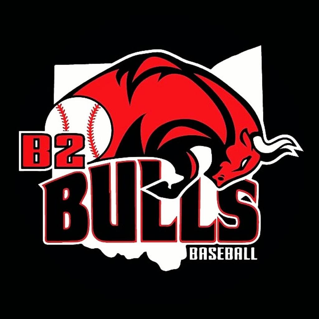 B2 Bulls (BV)