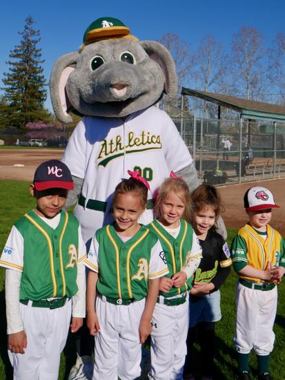 Walnut Creek Little League
