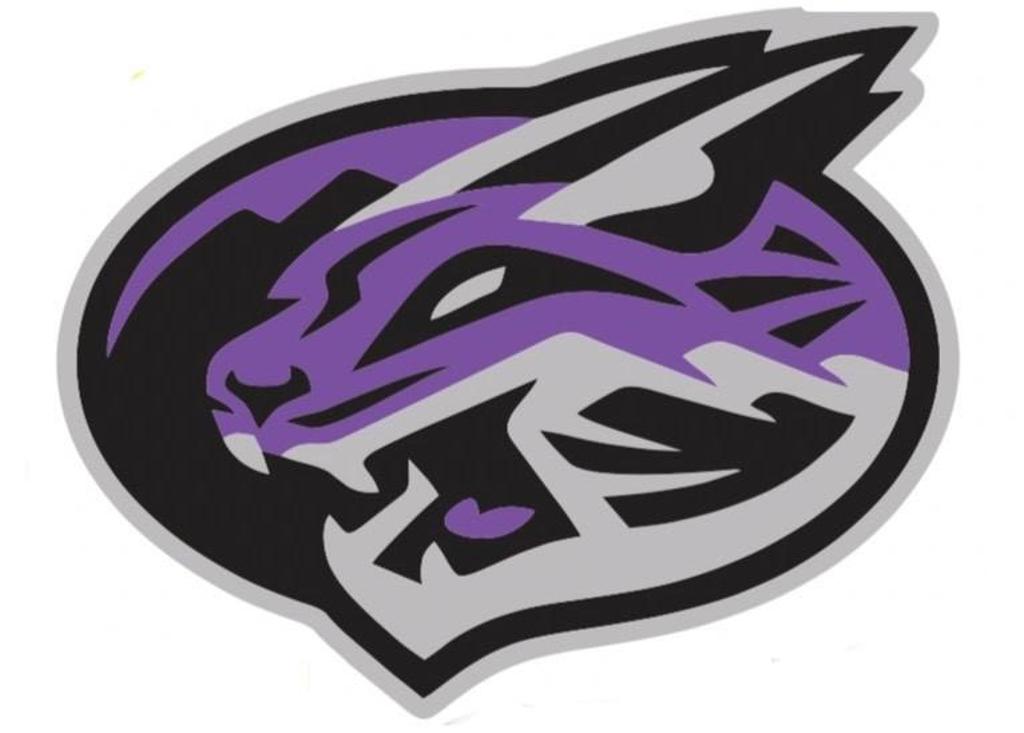 Welcome | HELLCATS 2022 FALL SEASON PLAYER FEE | Houston Baseball ...
