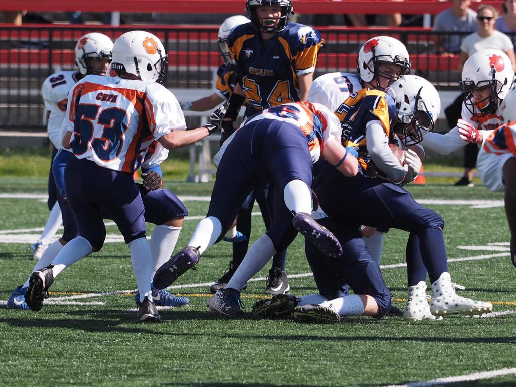 Calgary Wildcats Football