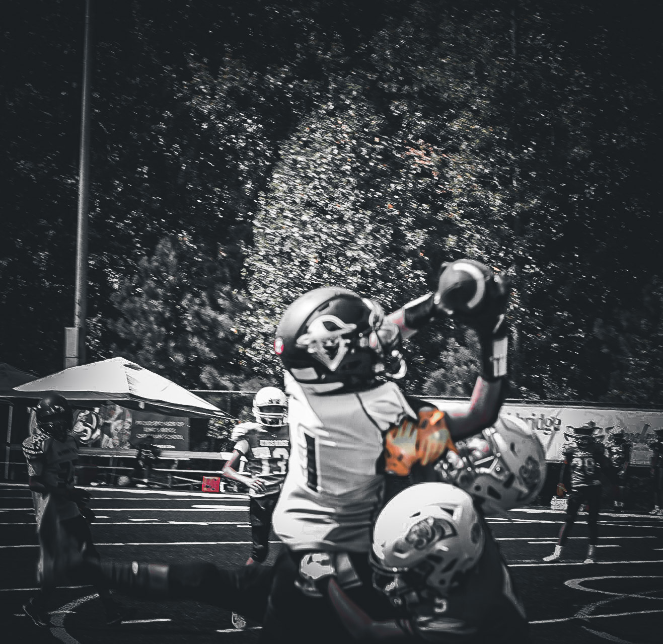 Alpharetta Junior Raiders Football