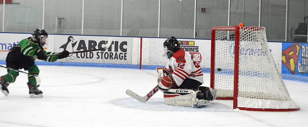 YOUTH: Peewee State Tournament