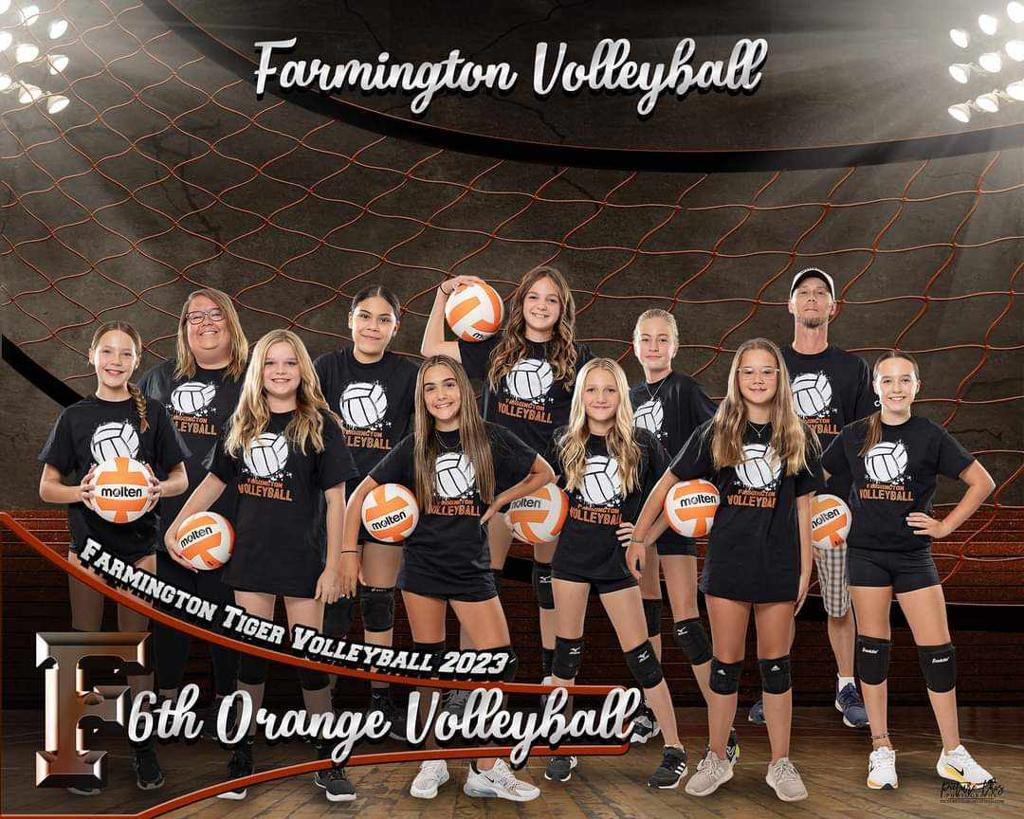 Fall Volleyball League