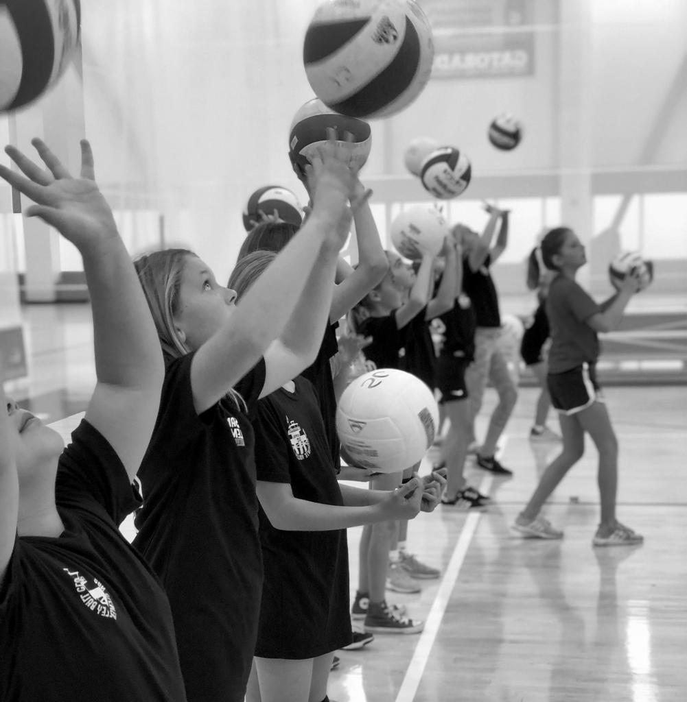 Program Descriptions