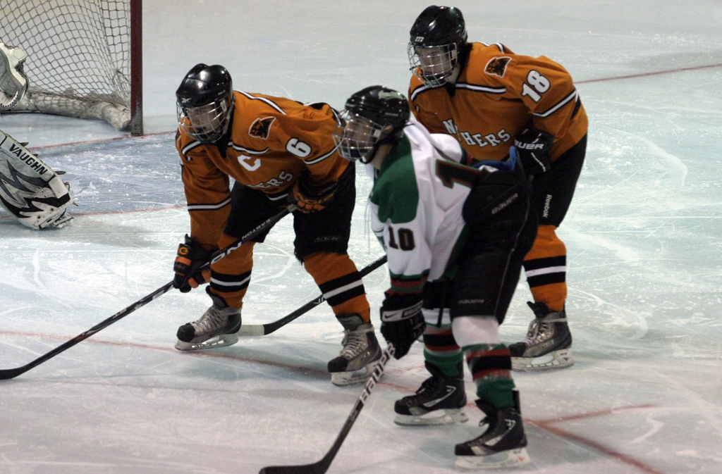 #10 Andrew Gregoire | Photos | MN Boys Hockey Hub | High School Boys ...