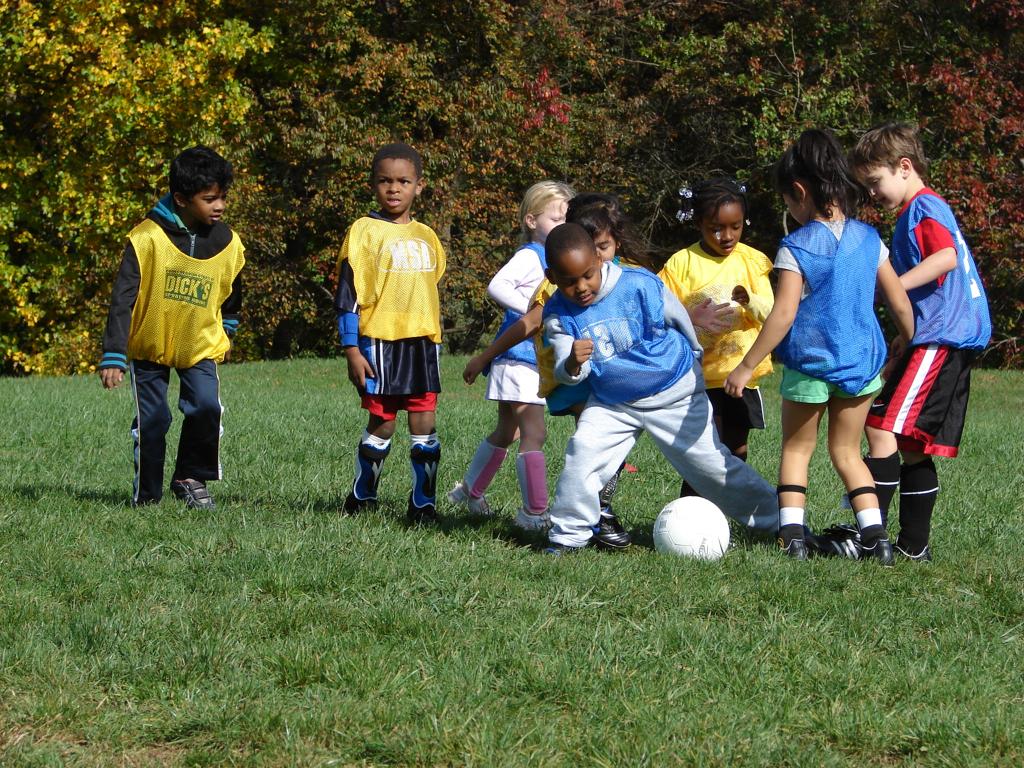 MSA Leagues