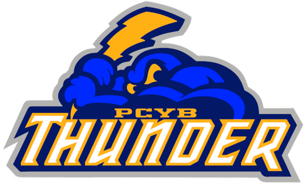 Pinellas County Youth Baseball