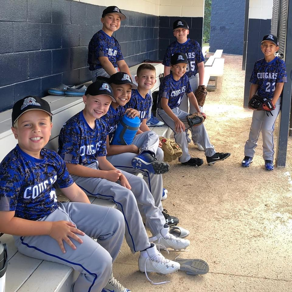 13U Carol Stream Cougar Baseball