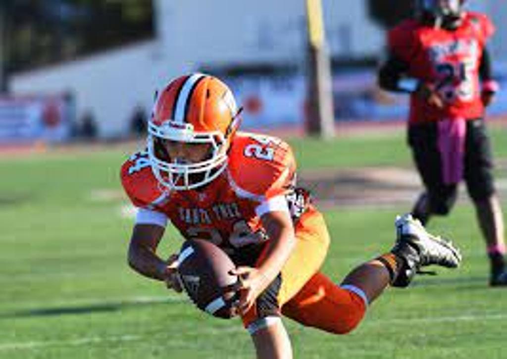 Important Information for Pirate YFL