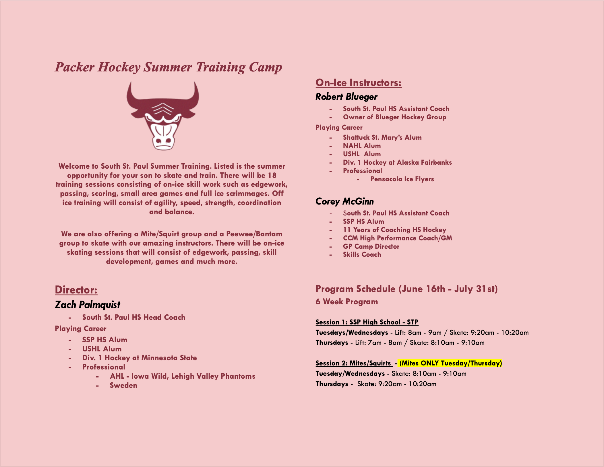 Summer Training Program