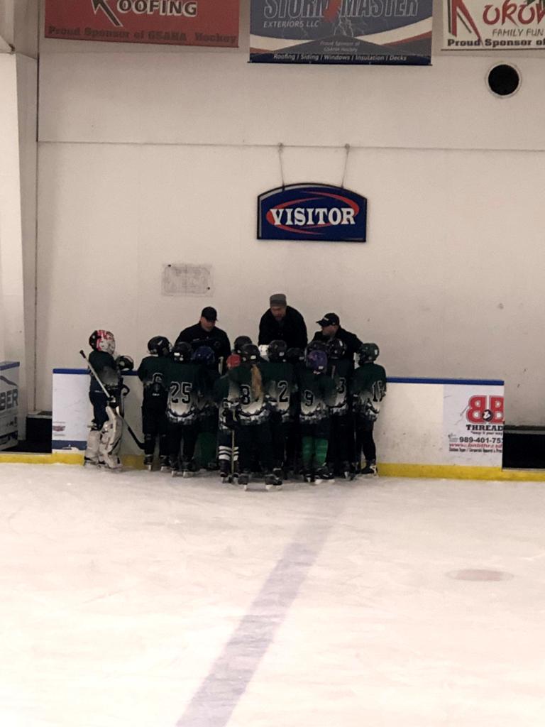 Alpena Hockey Association