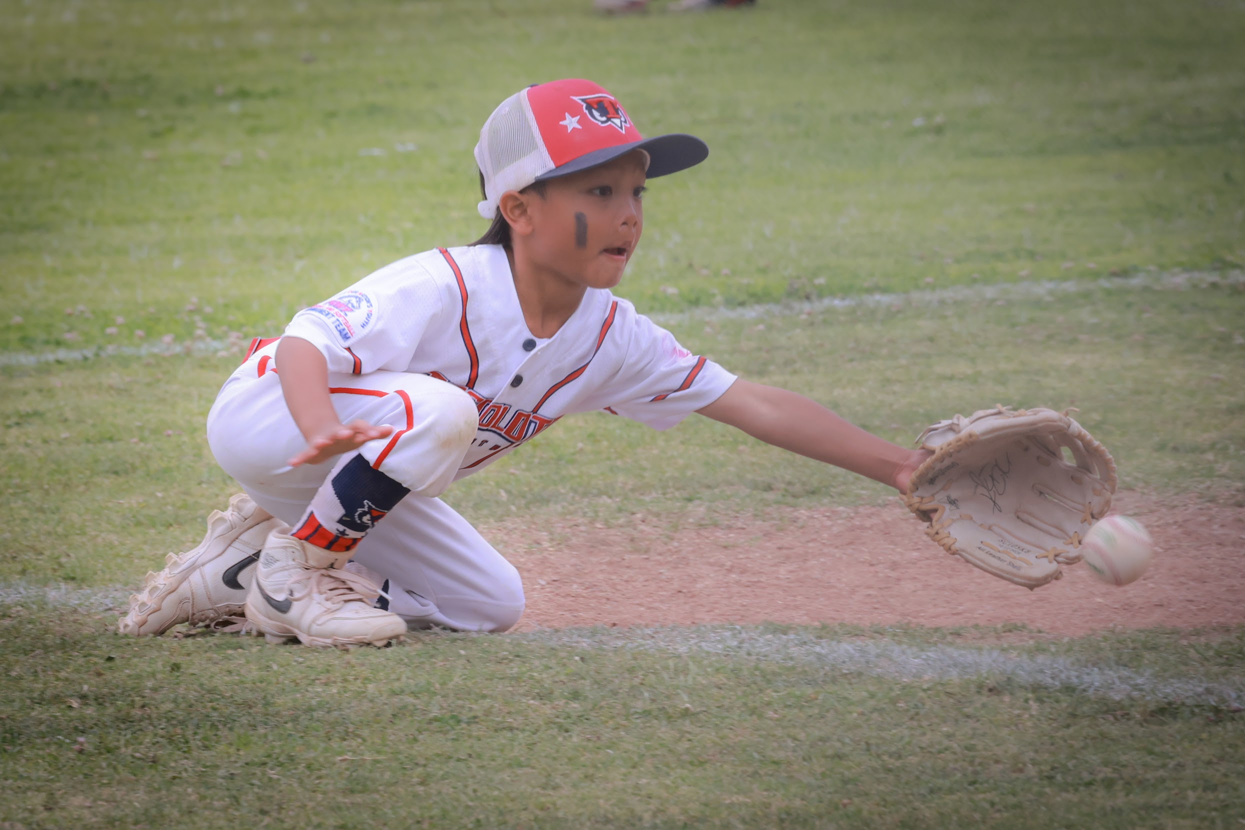 Tecolote Youth Baseball