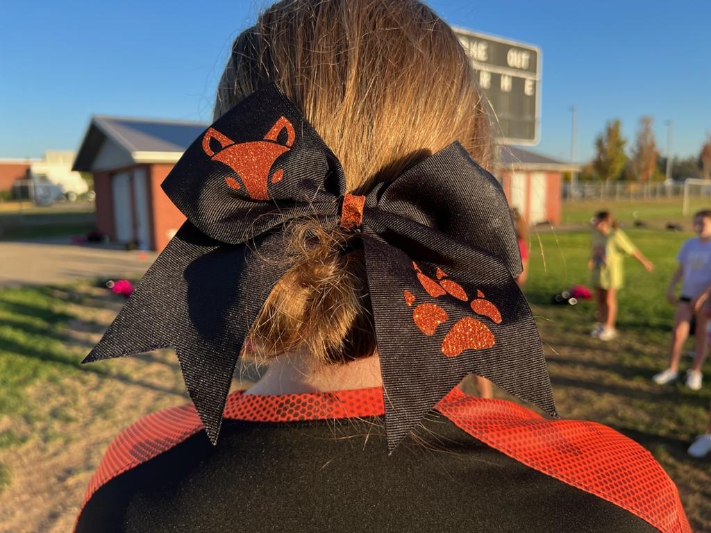 Cheer | Photos | Silverton Future Foxes Football and Cheer - TVYFL