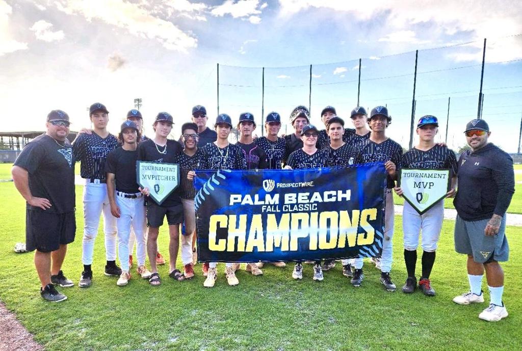 Vipers Baseball Club