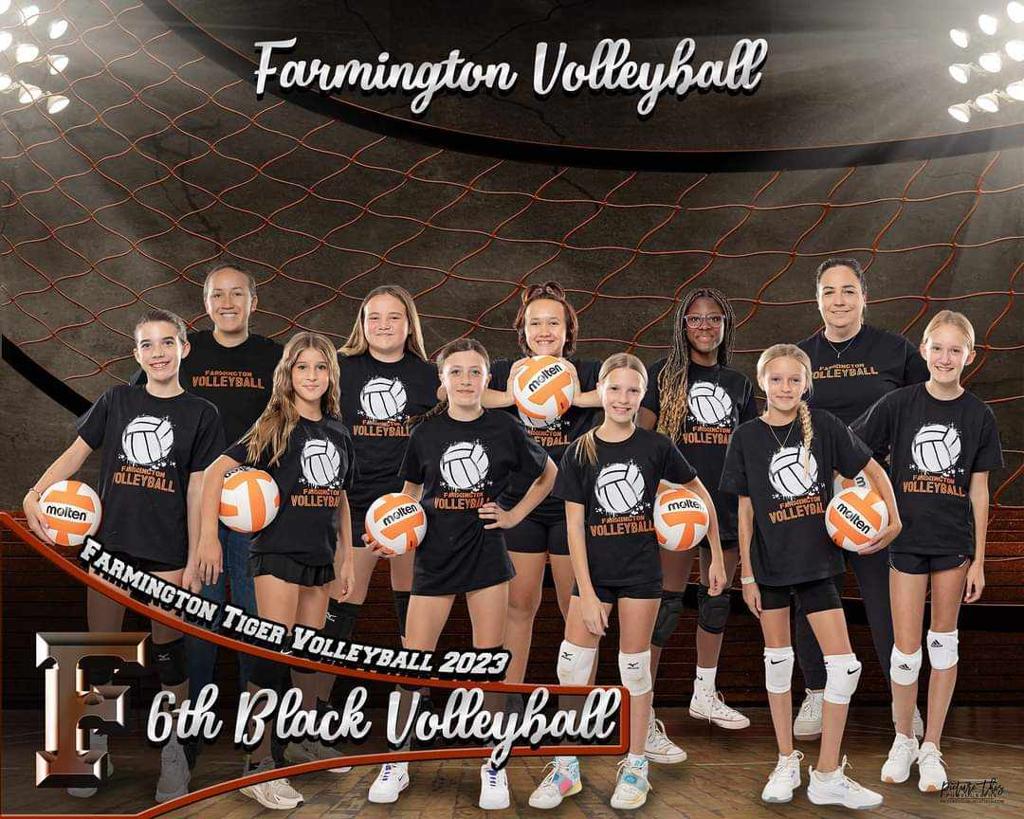 Fall Volleyball League