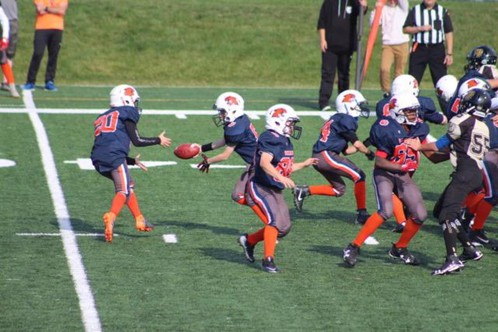 Calgary Wildcats Football