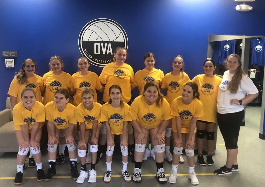 New to Volleyball?