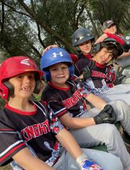 Shasta Cal Ripken Baseball