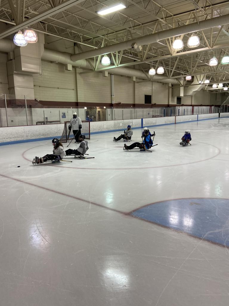 Sled Hockey