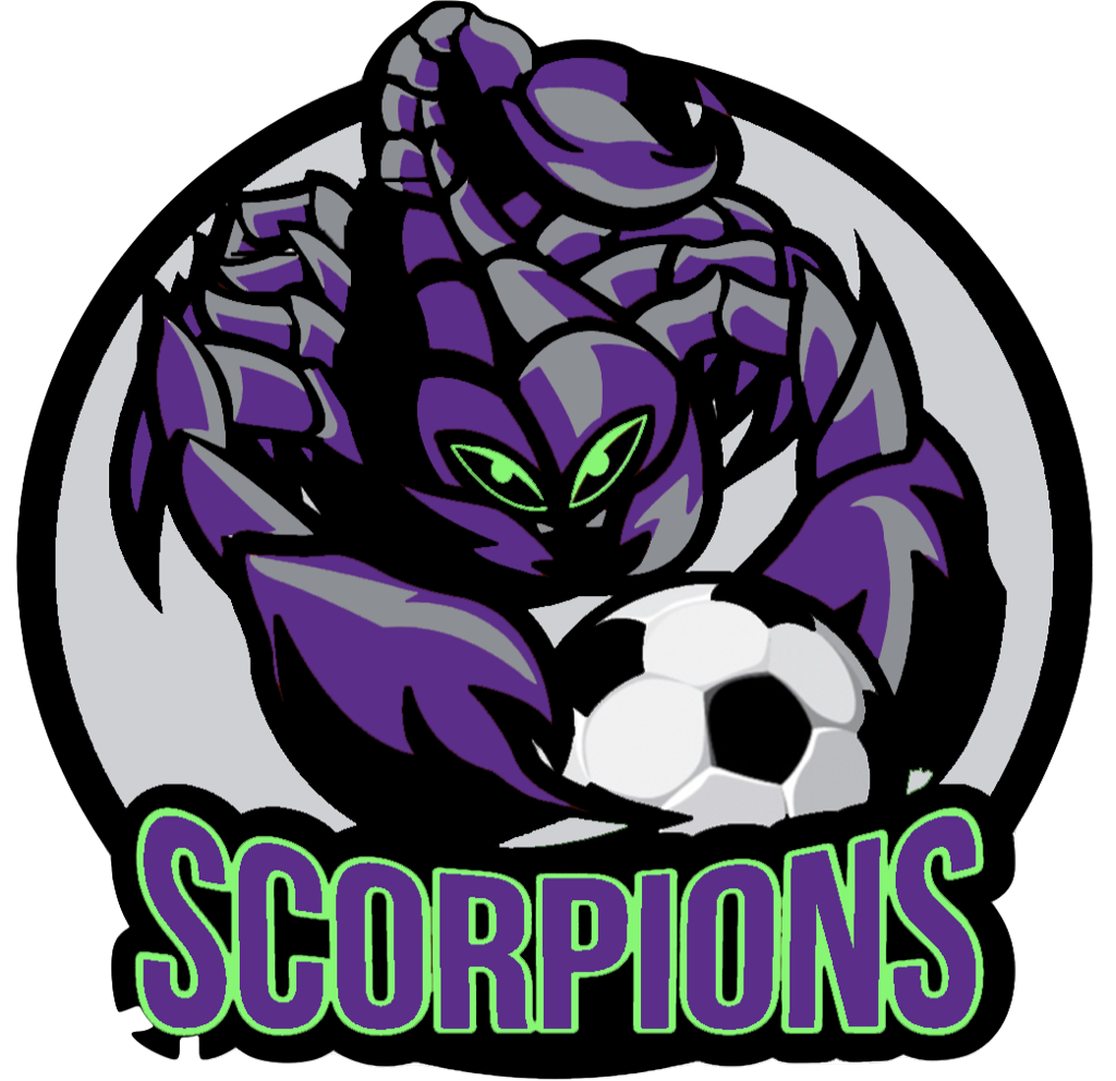 2010 Boys Scorpions
