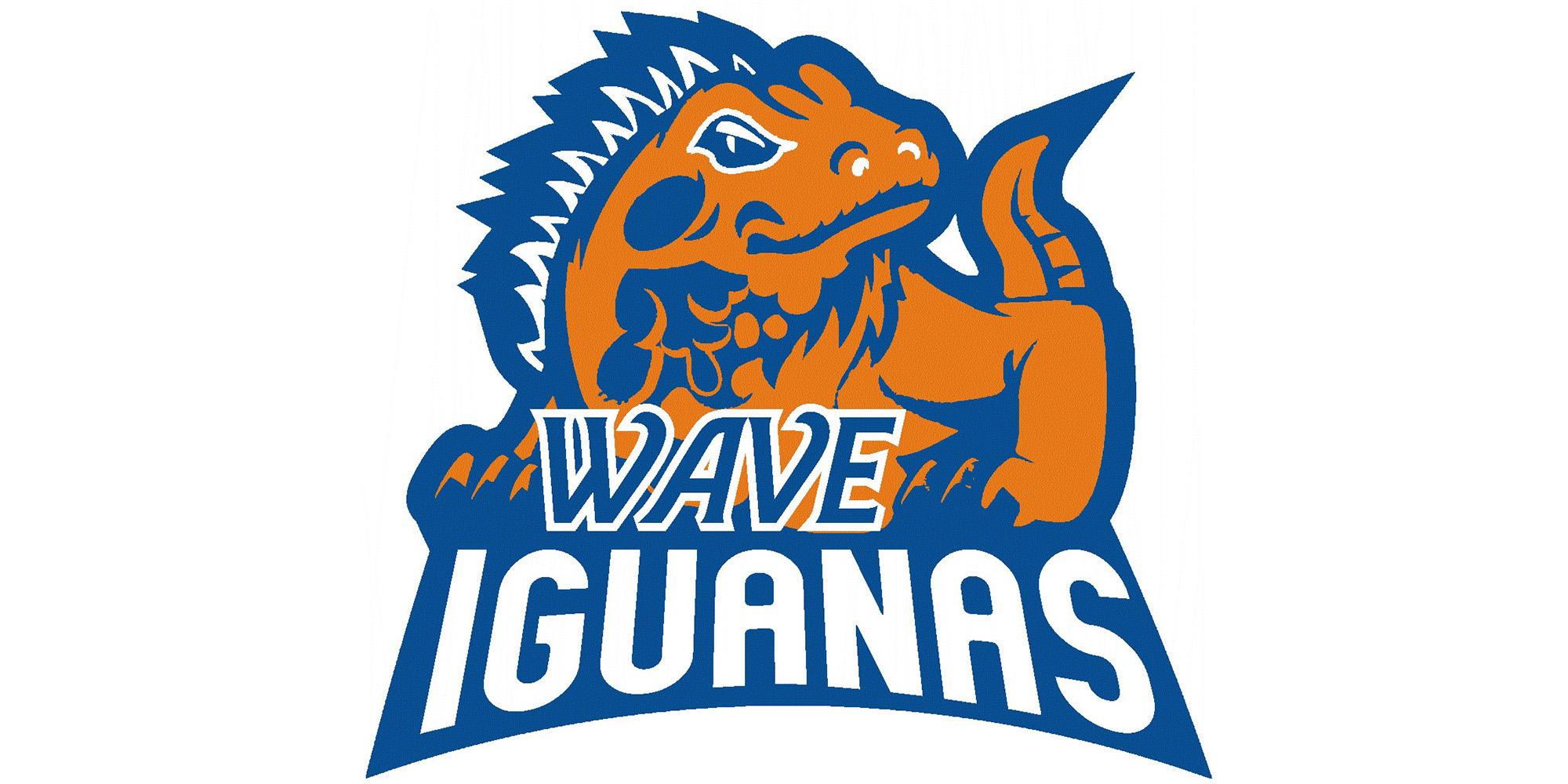 Wave Volleyball Club