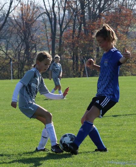 HFC Tryout Registration