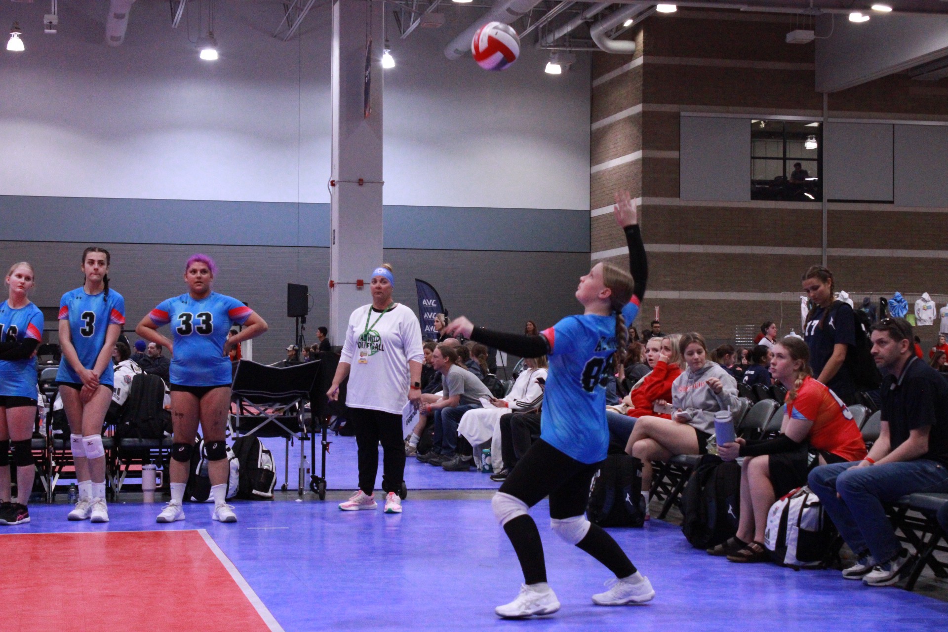 AZ Wild Volleyball Club