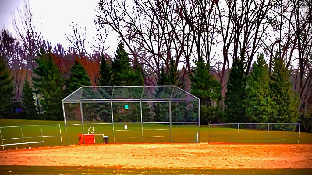 Local Field Information