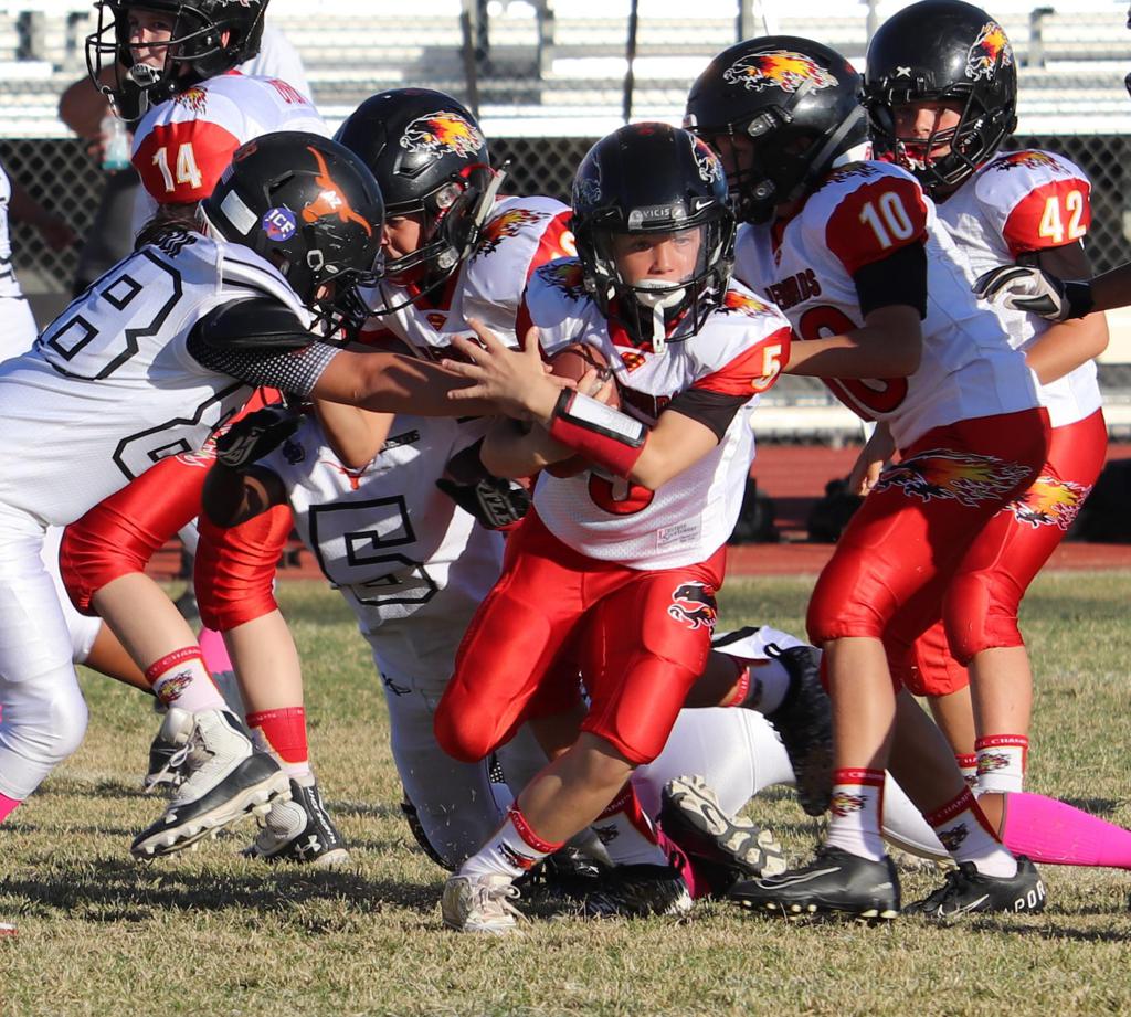 Firebirds 13U Red