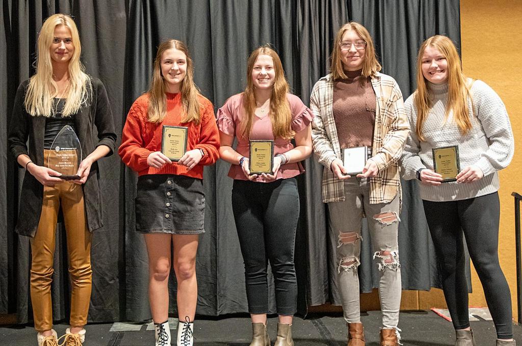 2023 Wisconsin Prep Hockey Awards