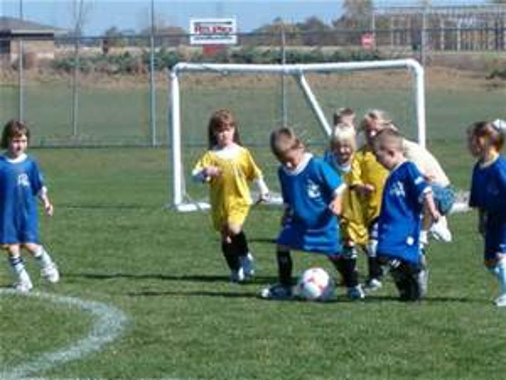 MSA Leagues
