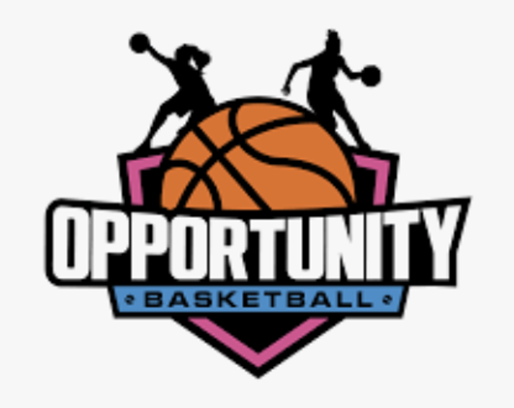 Girls AAU Programs