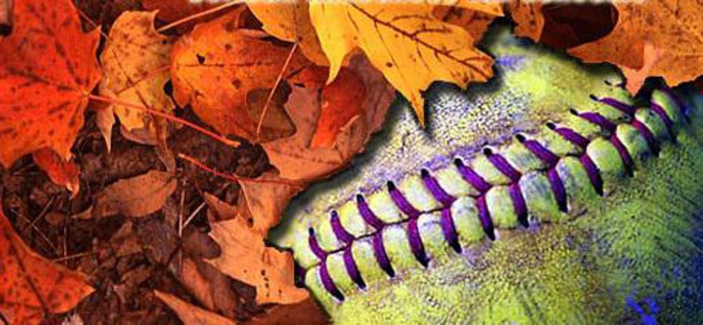 Welcome | 2025 Fall Ball Registration | Fountain Valley Girls Fastpitch ...