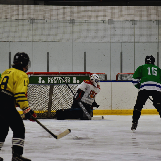 Adaptive Hockey
