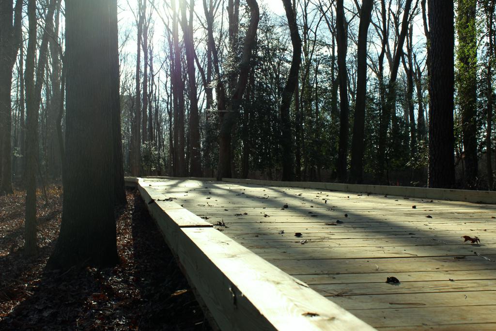 | Photos | Sandhill Fields