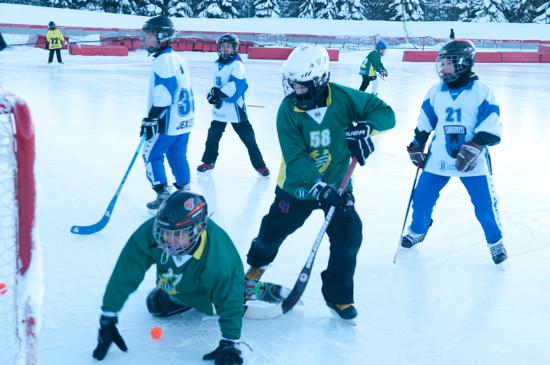 Youth Bandy & Bandy Camps